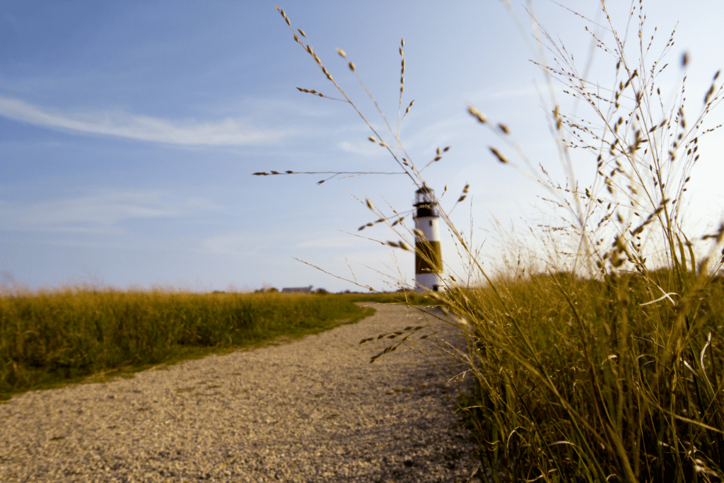 Home - LHM® Physical Therapy Institute